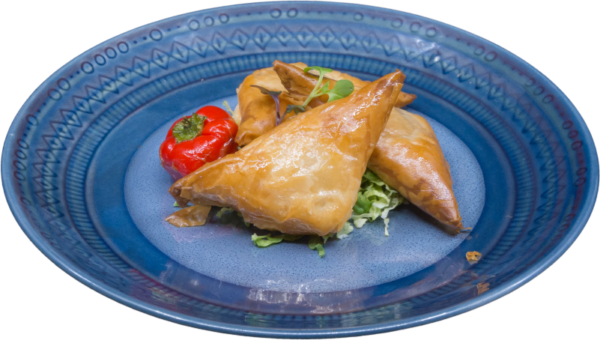 Southwestern Chicken in Phyllo Triangle | Culinary Specialties ...