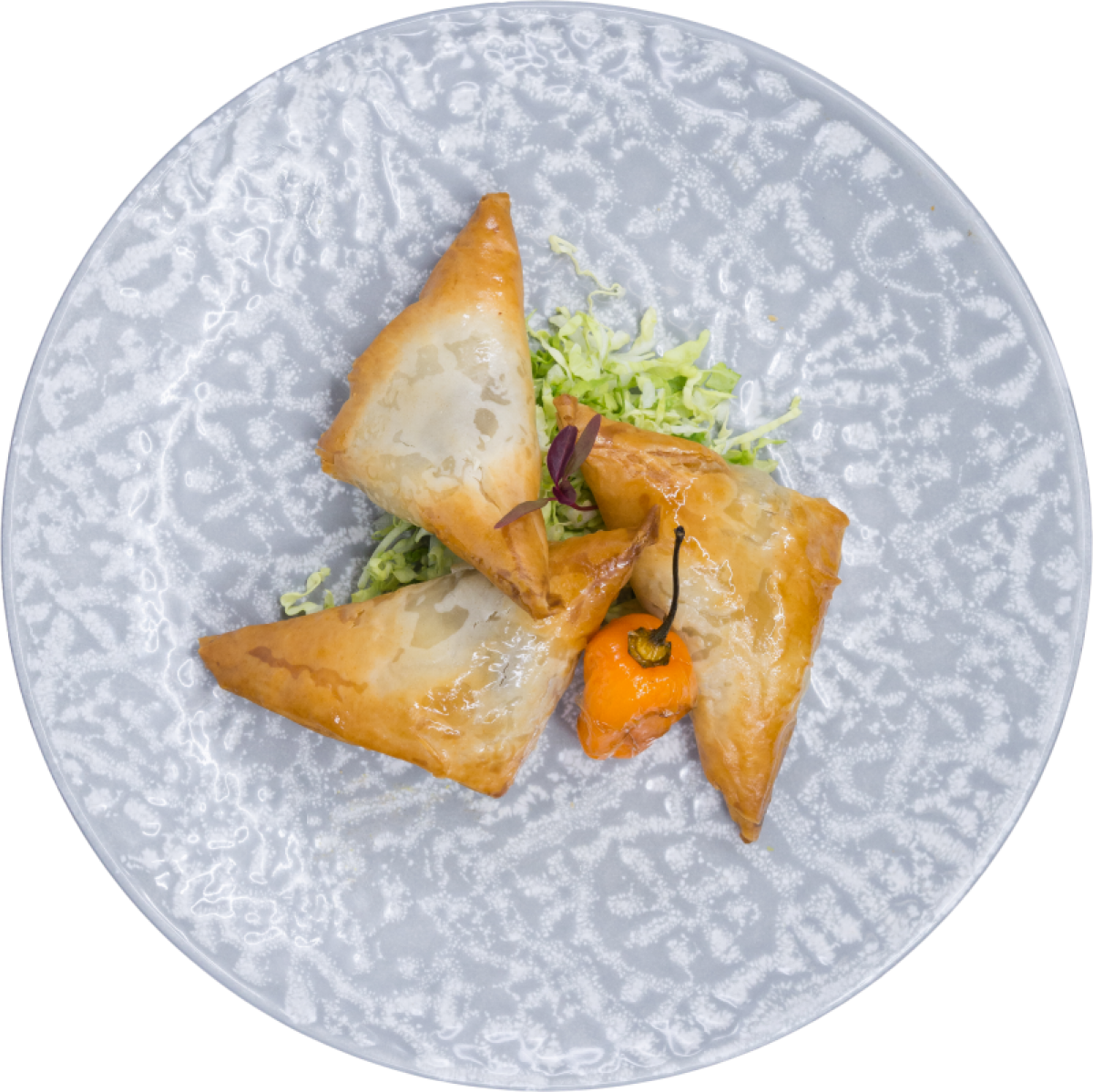 Southwestern Chicken in Phyllo Triangle | Culinary Specialties ...