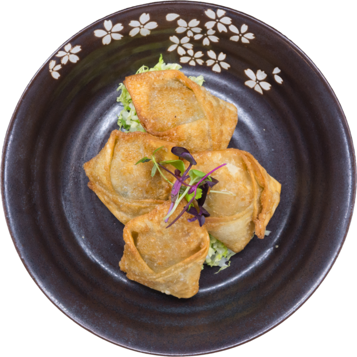 Vegetable Won-Ton | Culinary Specialties - Quality Foods for Hotels ...