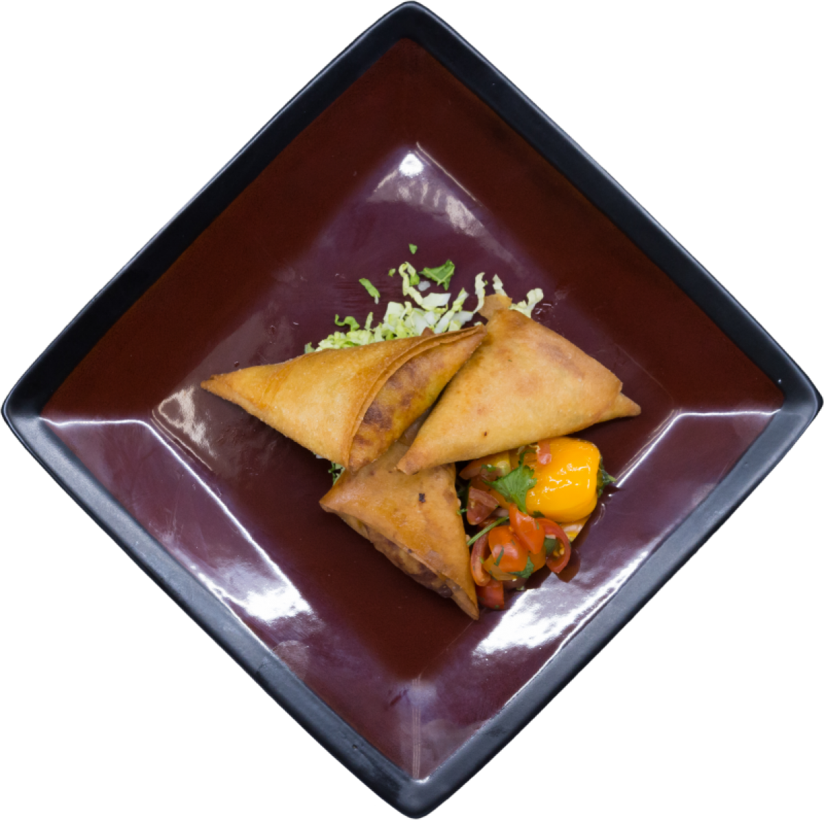 Chicken Samosa | Culinary Specialties - Quality Foods for Hotels ...