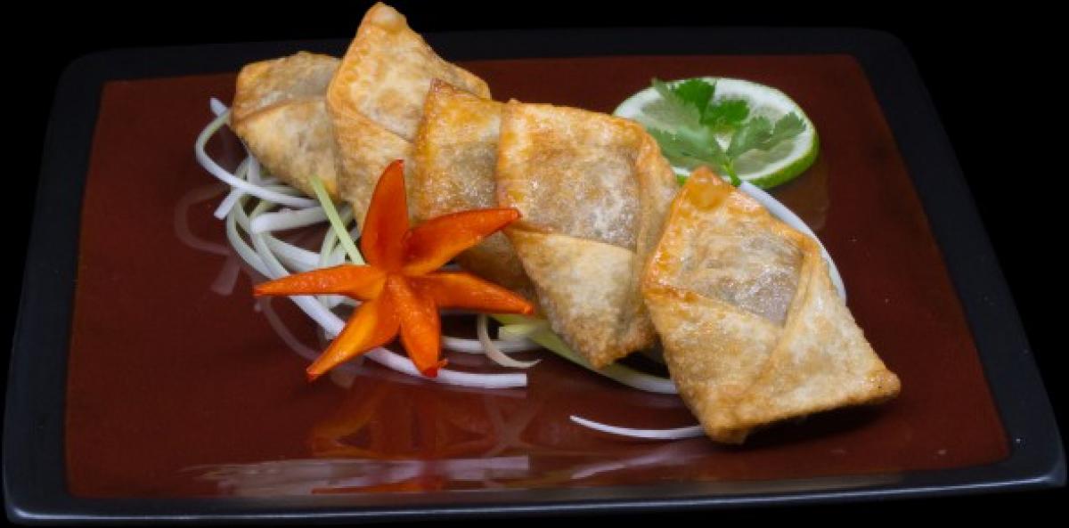 Beef Won-Ton | Culinary Specialties - Quality Foods for Hotels ...
